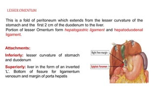 Omentum.pptx