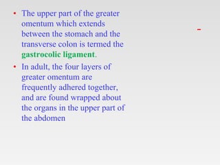 Omentum.pptx