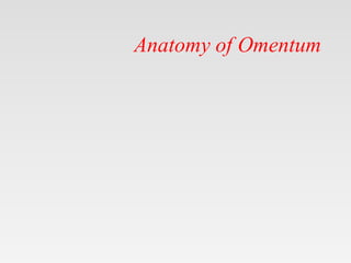 Omentum.pptx