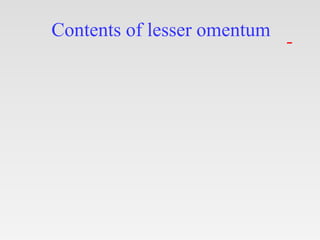 Omentum.pptx