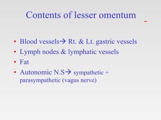 Lesser Omentum Contents
