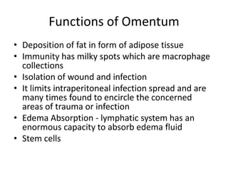 Omentum – anatomy, pathological conditions and surgical importance | PPTX