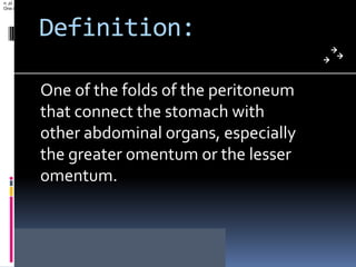 Omentum filza | PPT