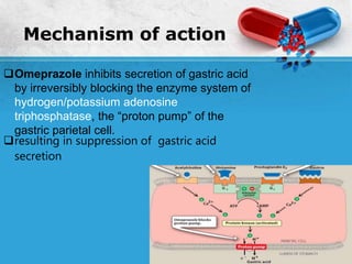 Omeprazole | PPT