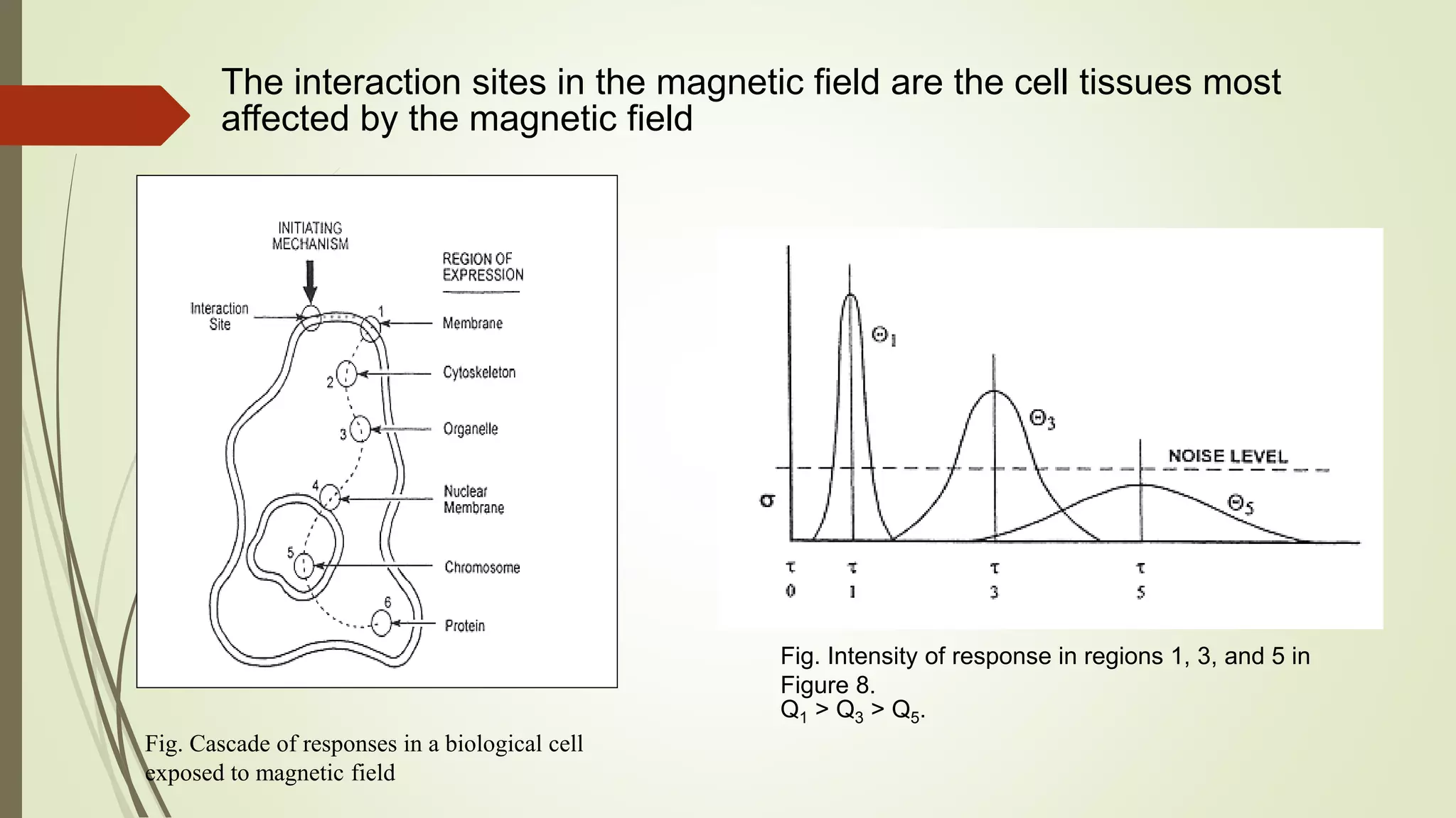 Oscillating Magnetic Field | PPTX