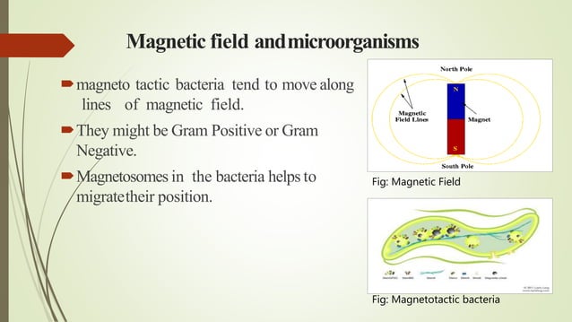 Oscillating Magnetic Field | PPTX | Chemistry | Science