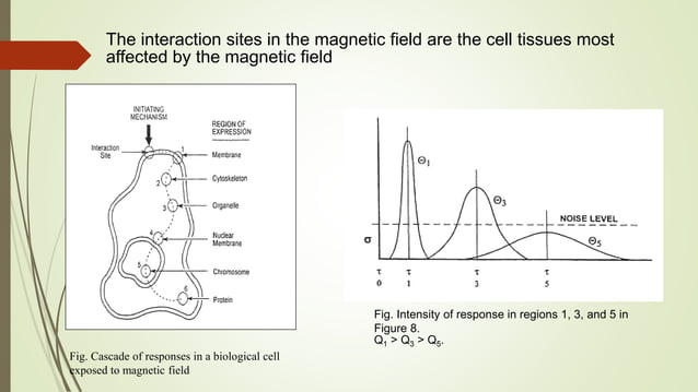 Oscillating Magnetic Field | PPTX | Chemistry | Science