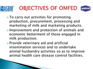 Omfed | PPTX