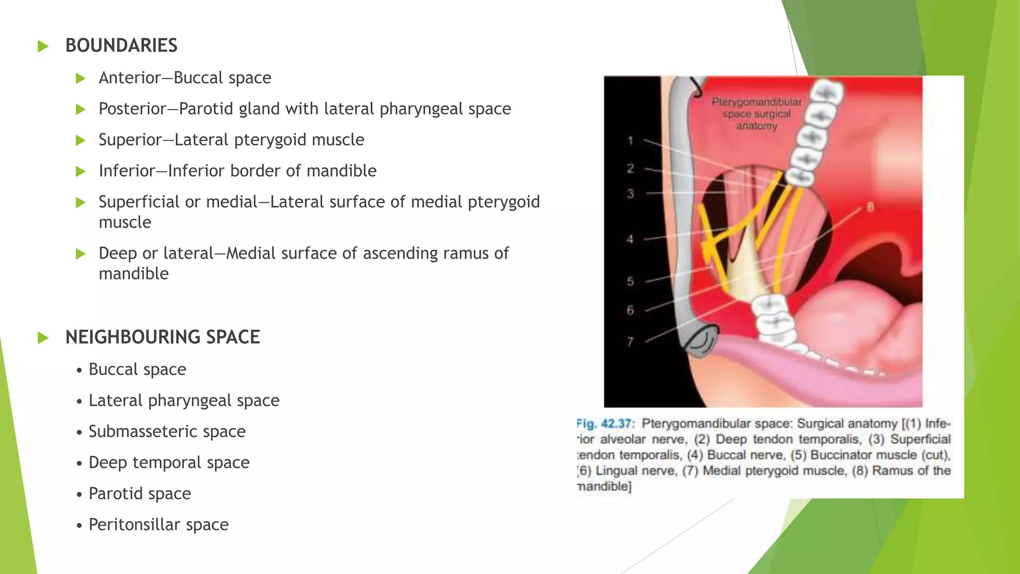 OMFS mandibular space infection.pptx