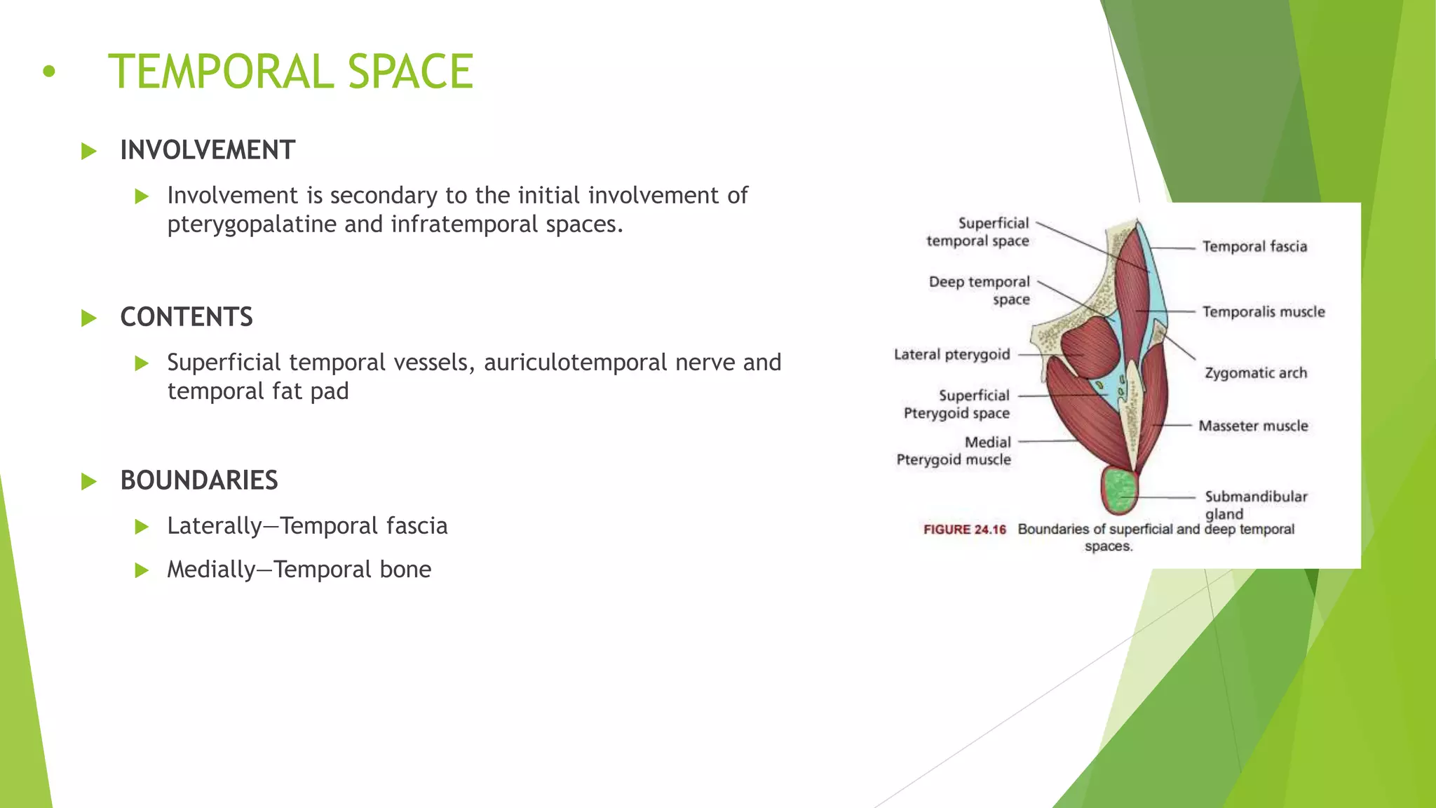 OMFS mandibular space infection.pptx