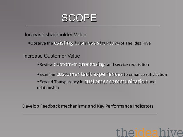 The Idea Hive Operations Plan Presentation | PPT