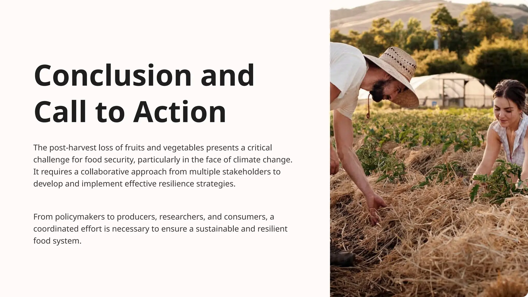 Climatic change and post harvest losses in fruits and vegetables | PPTX