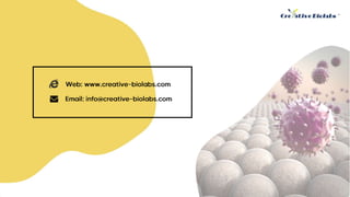 Omicron Introduction - Creative Biolabs | PPTX