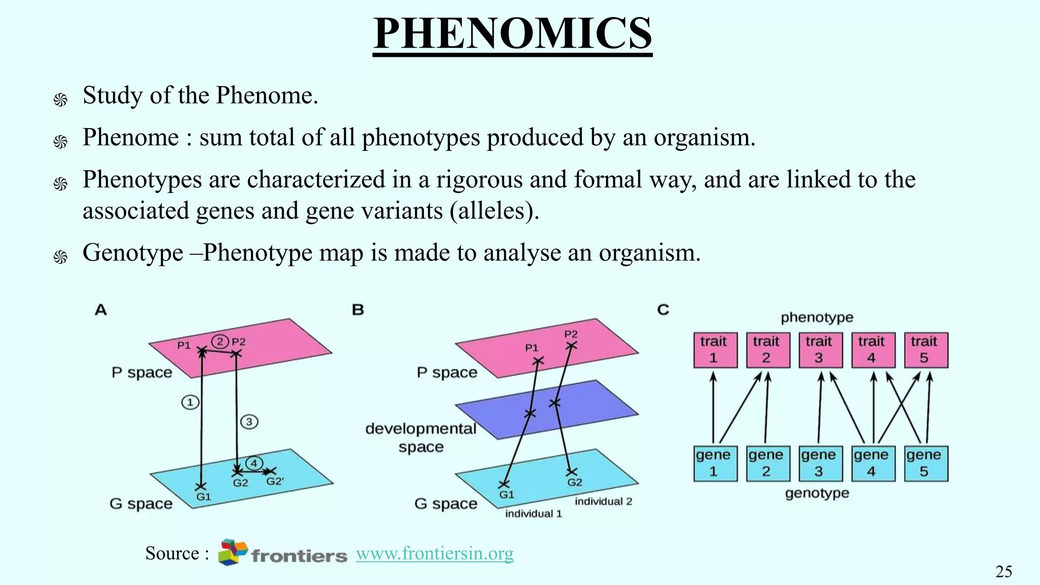 OMICS in Crop Improvement.pptx