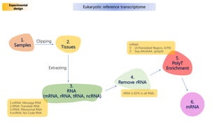 Bioinformatics Omics | PPTX