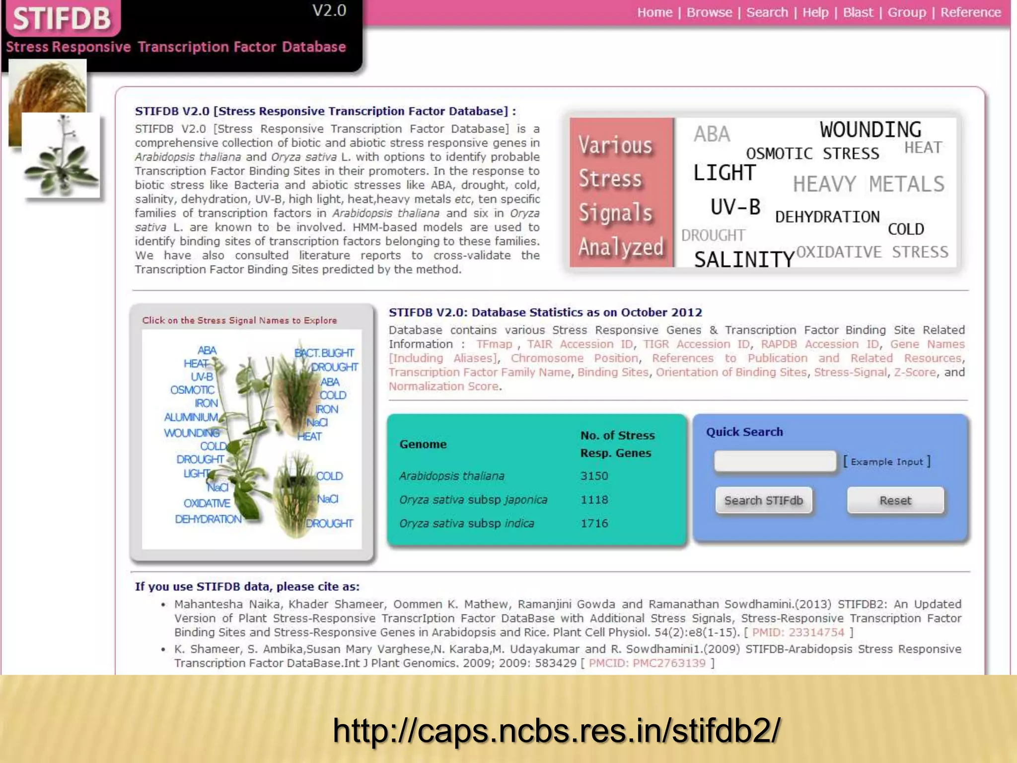 Omics era | PPTX | Biotech and Biomedical Industry | Industries