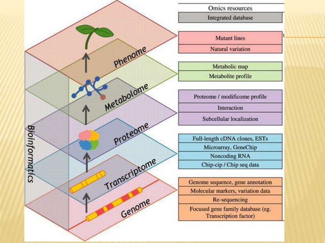 Omics era | PPTX | Biotech and Biomedical Industry | Industries