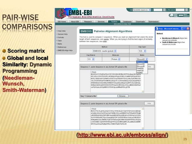Omics era | PPTX | Biotech and Biomedical Industry | Industries
