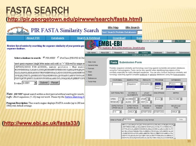 Omics era | PPTX | Biotech and Biomedical Industry | Industries