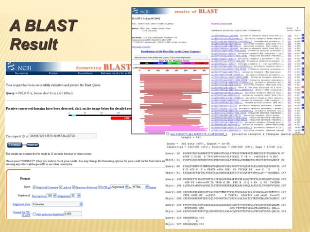 Omics era | PPTX | Biotech and Biomedical Industry | Industries