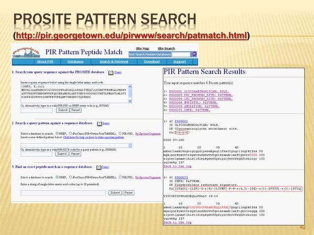 Omics era | PPTX | Biotech and Biomedical Industry | Industries