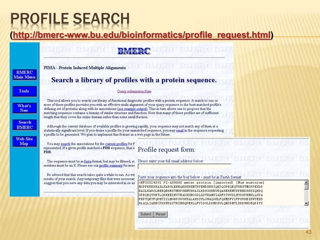 Omics era | PPTX | Biotech and Biomedical Industry | Industries