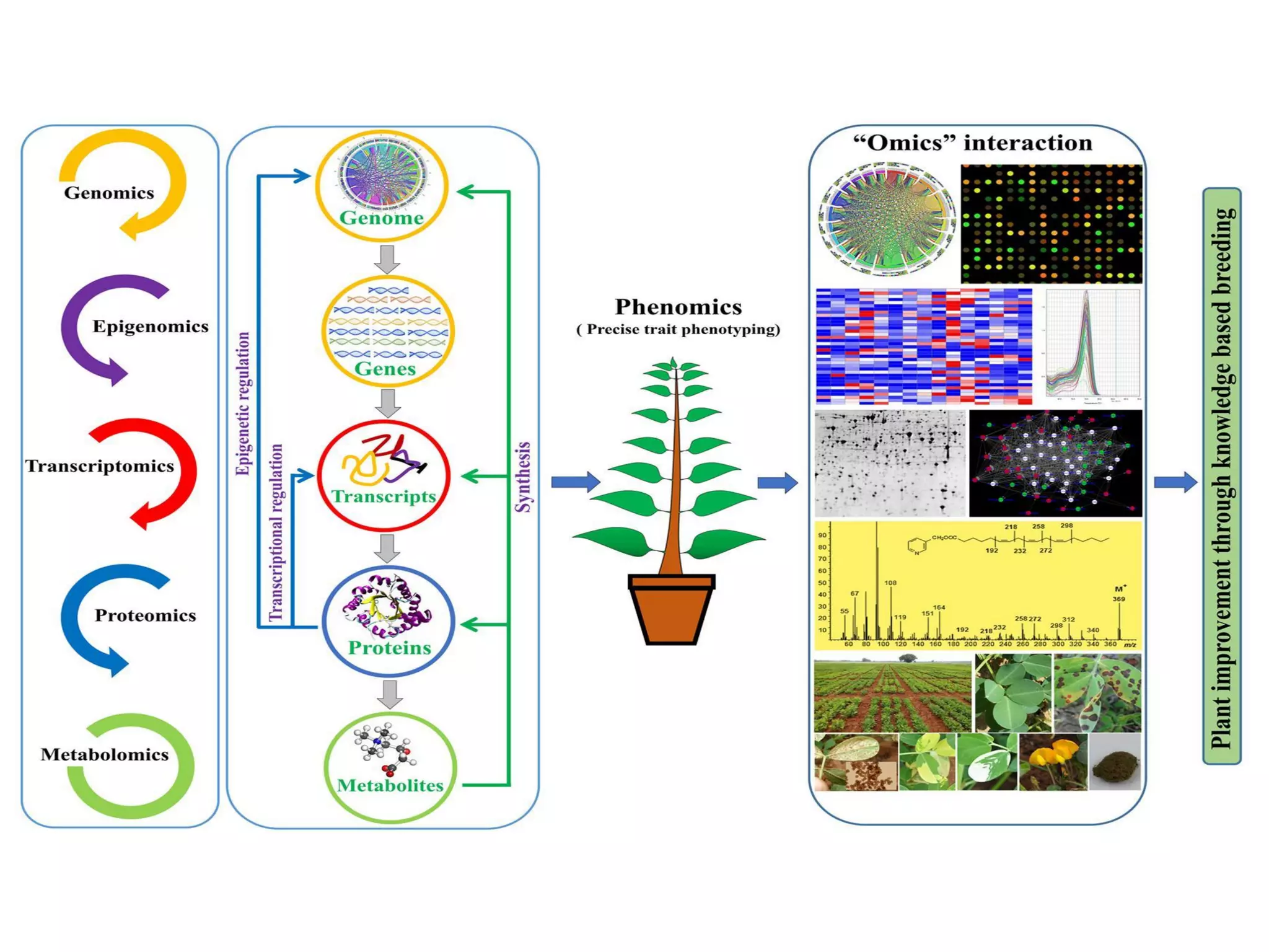 Omics for crop improvement (new) | PDF