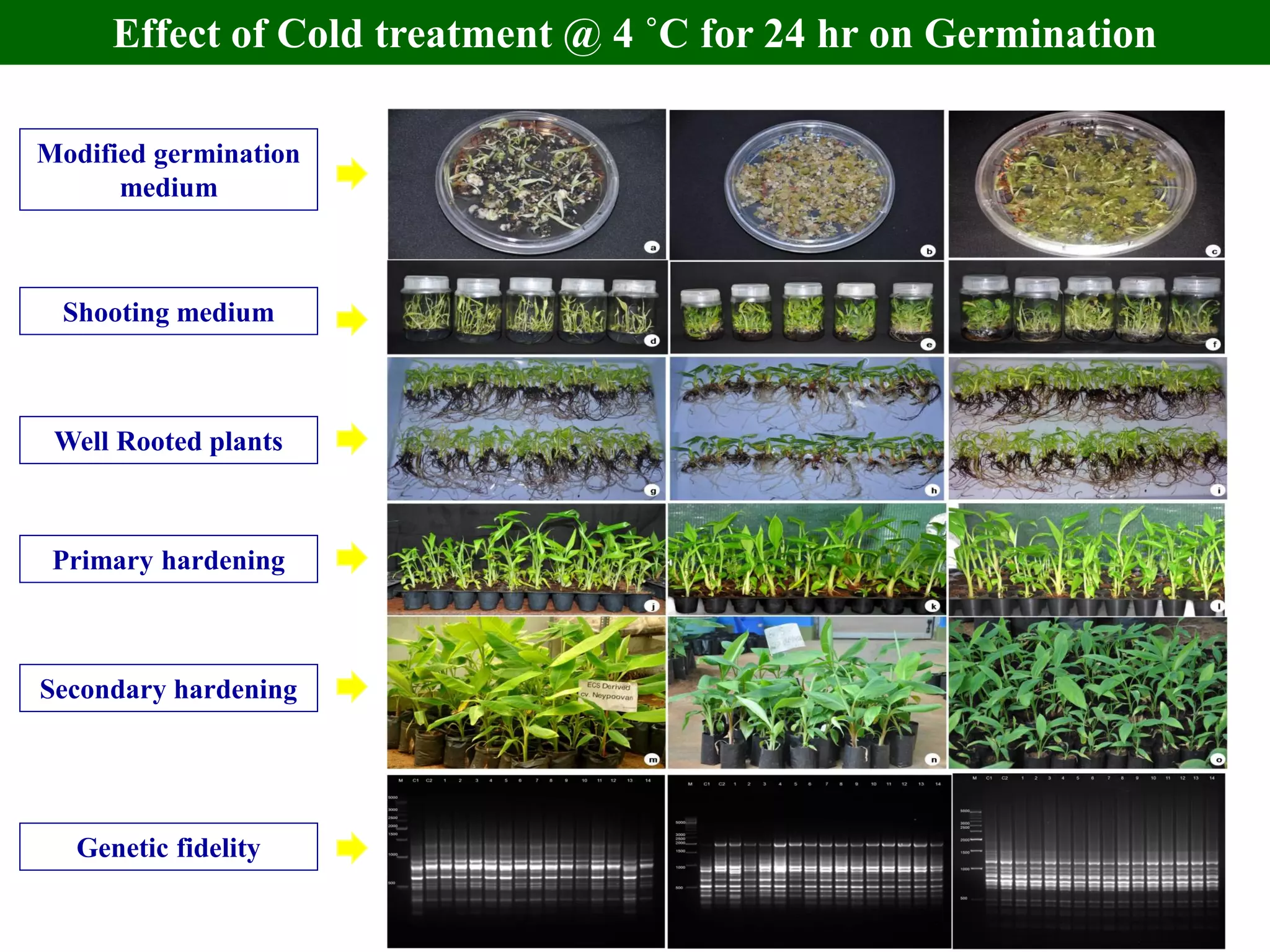 Omics for crop improvement (new) | PDF