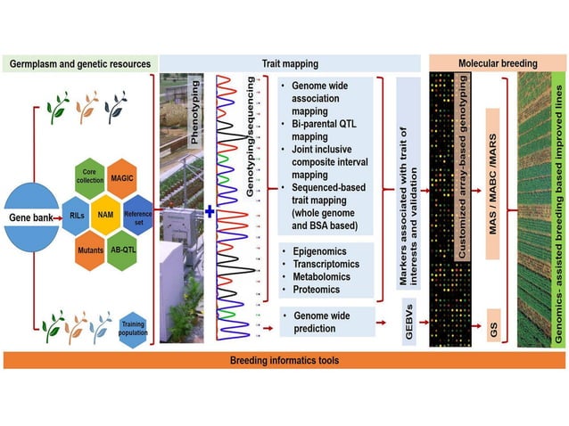 Omics for crop improvement (new) | PDF | Biotech and Biomedical Industry | Industries