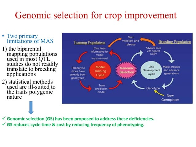 Omics for crop improvement (new) | PDF | Biotech and Biomedical Industry | Industries