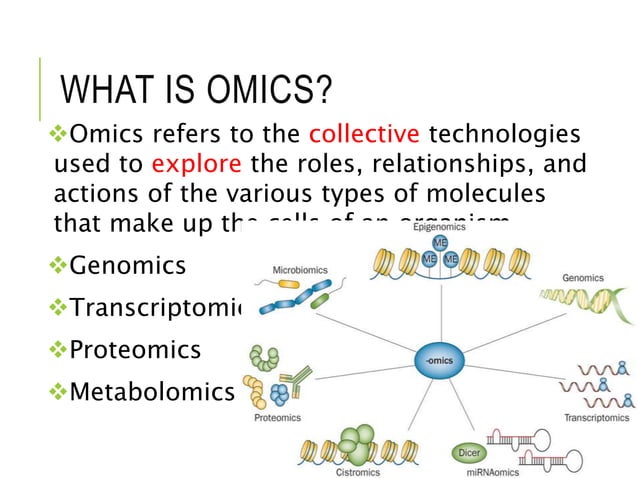 Omics in nutrition and metabolism | PPTX