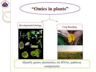 Omics in plant breeding | PPT