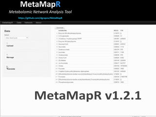 Mapping to the Metabolomic Manifold | PPT