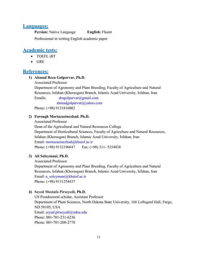 Omid askari cv 2 | PDF
