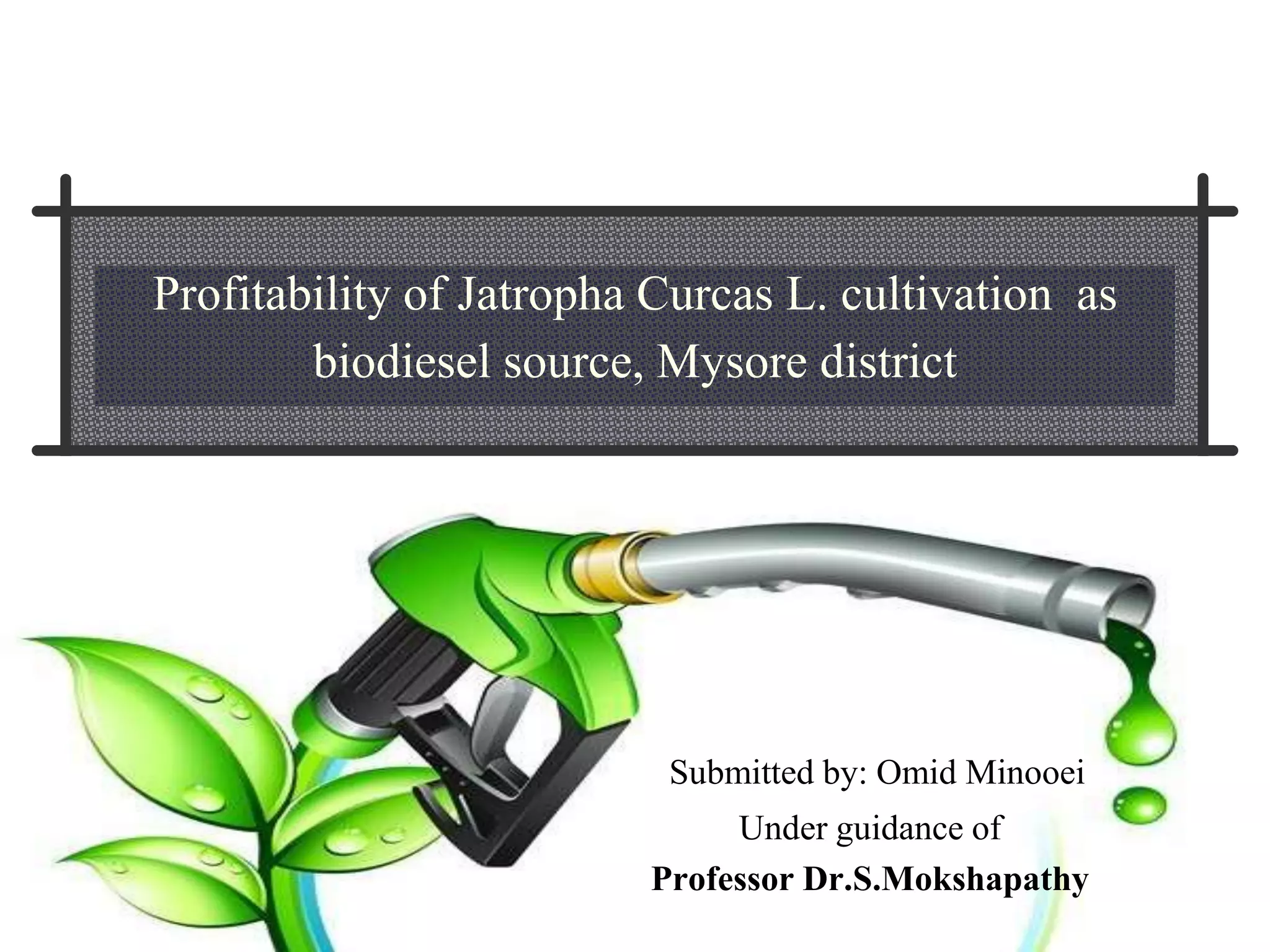 bio-energy Profitability of Jatropha Curcas L. cultivation as bio ...