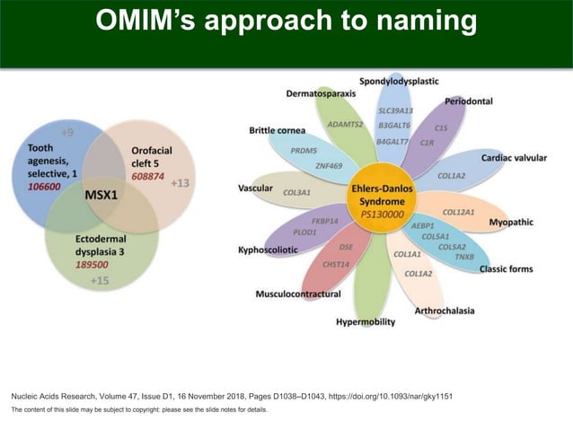 OMIM Database | PPTX