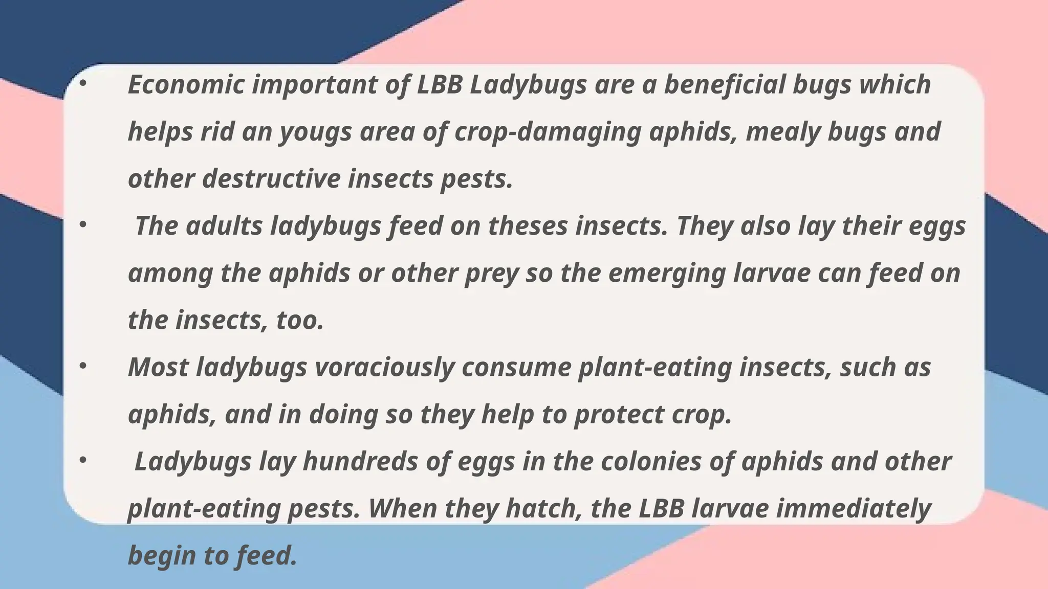 lady bird neetle mass production ento.pptx