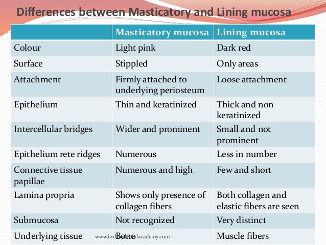 oral mucous membranes-3 / oral surgery courses
