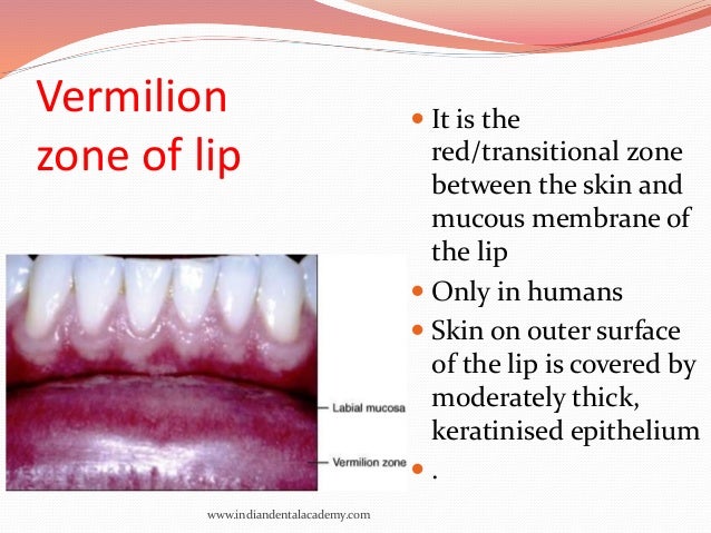 oral mucous membranes-3 / oral surgery courses
