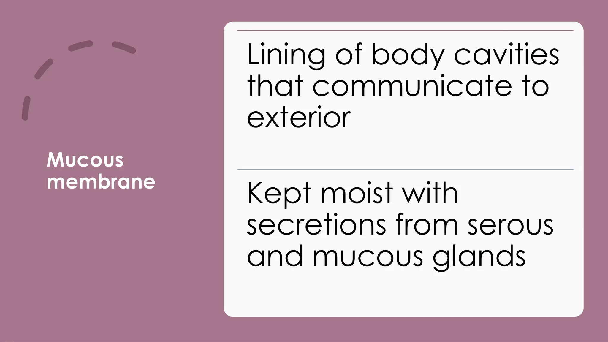 INTRODUCTION TO ORAL MUCOUS MEMBRANE - DR. DEEPTHI K | PPTX