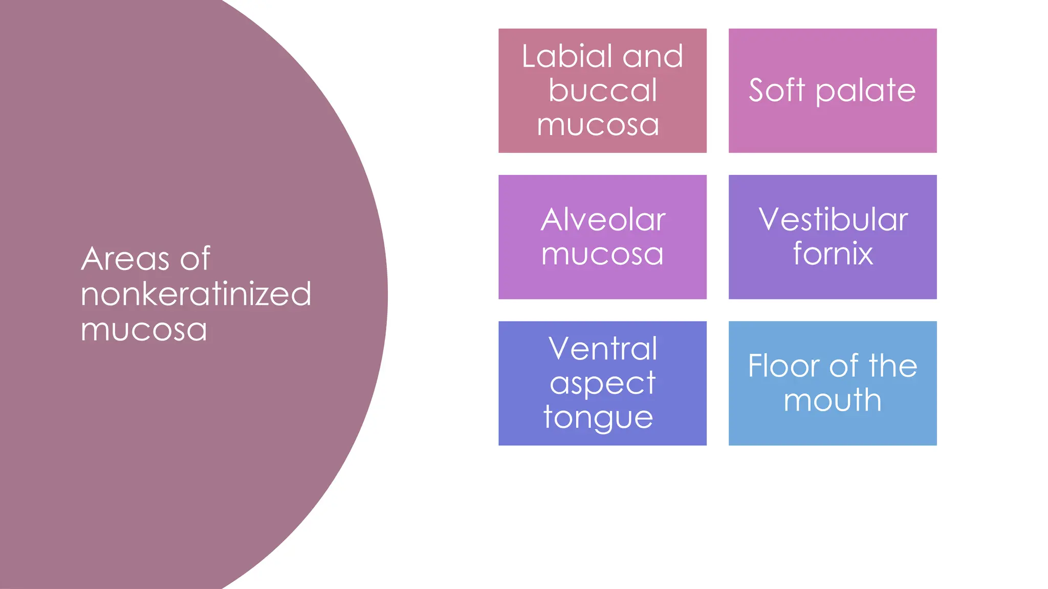 INTRODUCTION TO ORAL MUCOUS MEMBRANE - DR. DEEPTHI K | PPTX