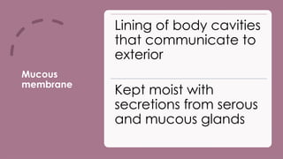INTRODUCTION TO ORAL MUCOUS MEMBRANE - DR. DEEPTHI K | PPTX