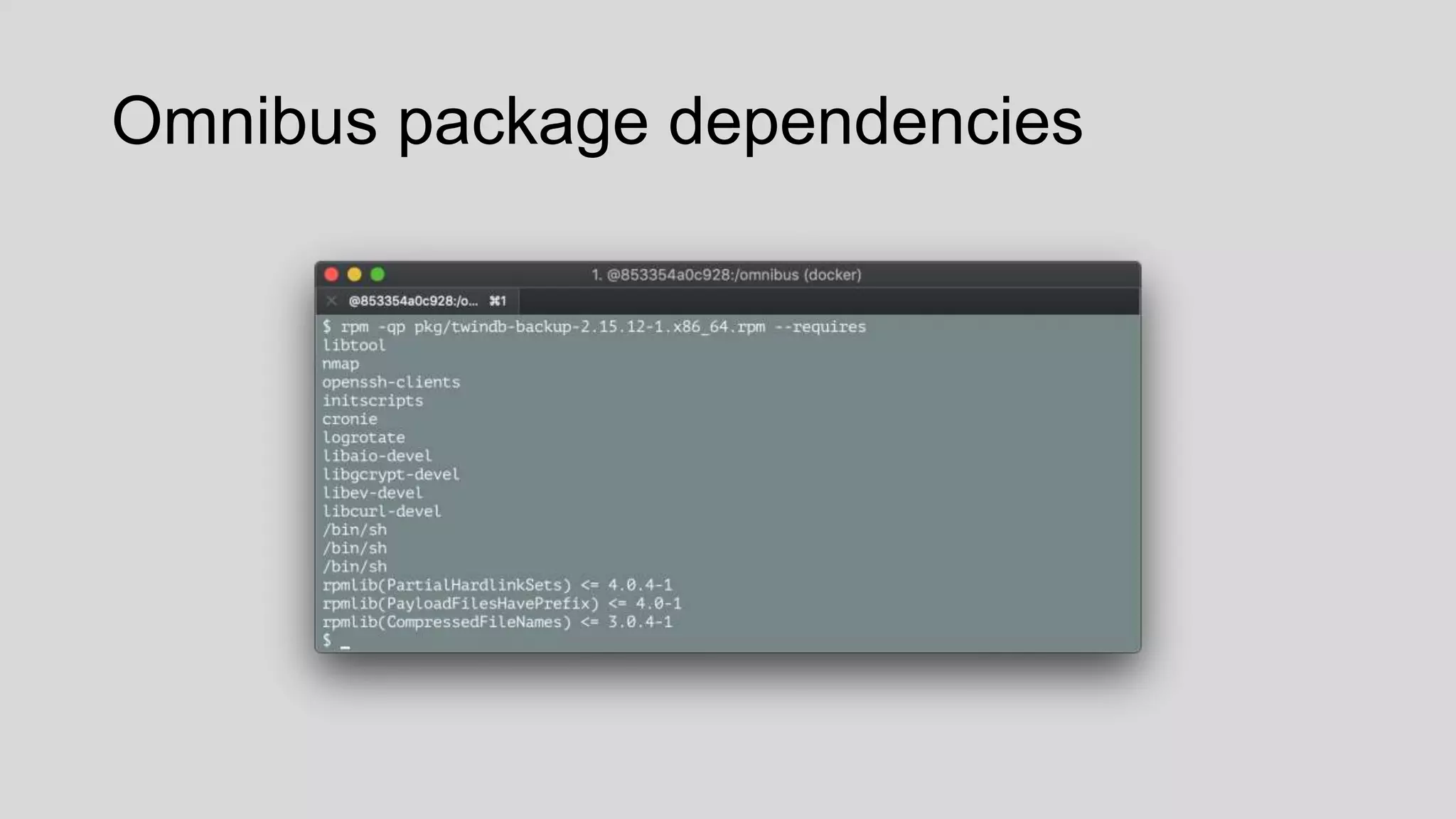 Omnibus As A Solution For Dependency Hell Ppt