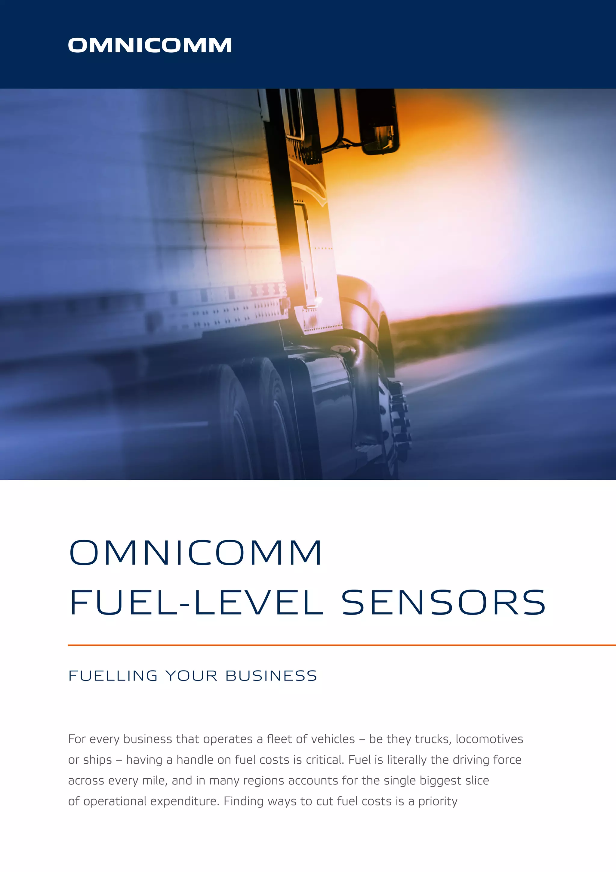 LLS4 Fuel Level Sensor | PDF