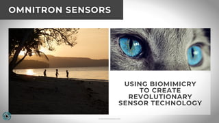 Omnitron Sensors | PDF