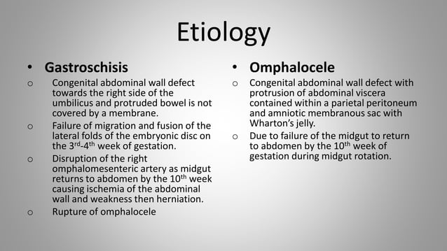 Omphalocele vs gastroschisis | PPTX | Pregnancy | Reproductive Health
