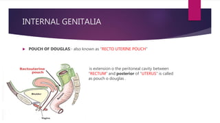 Om prakash regar | PPTX | Pregnancy | Reproductive Health