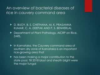 Bacterial disease of rice and their management | PPT