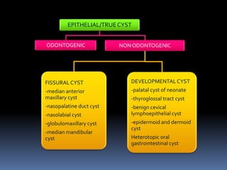 OROFACIAL CYST | PPTX