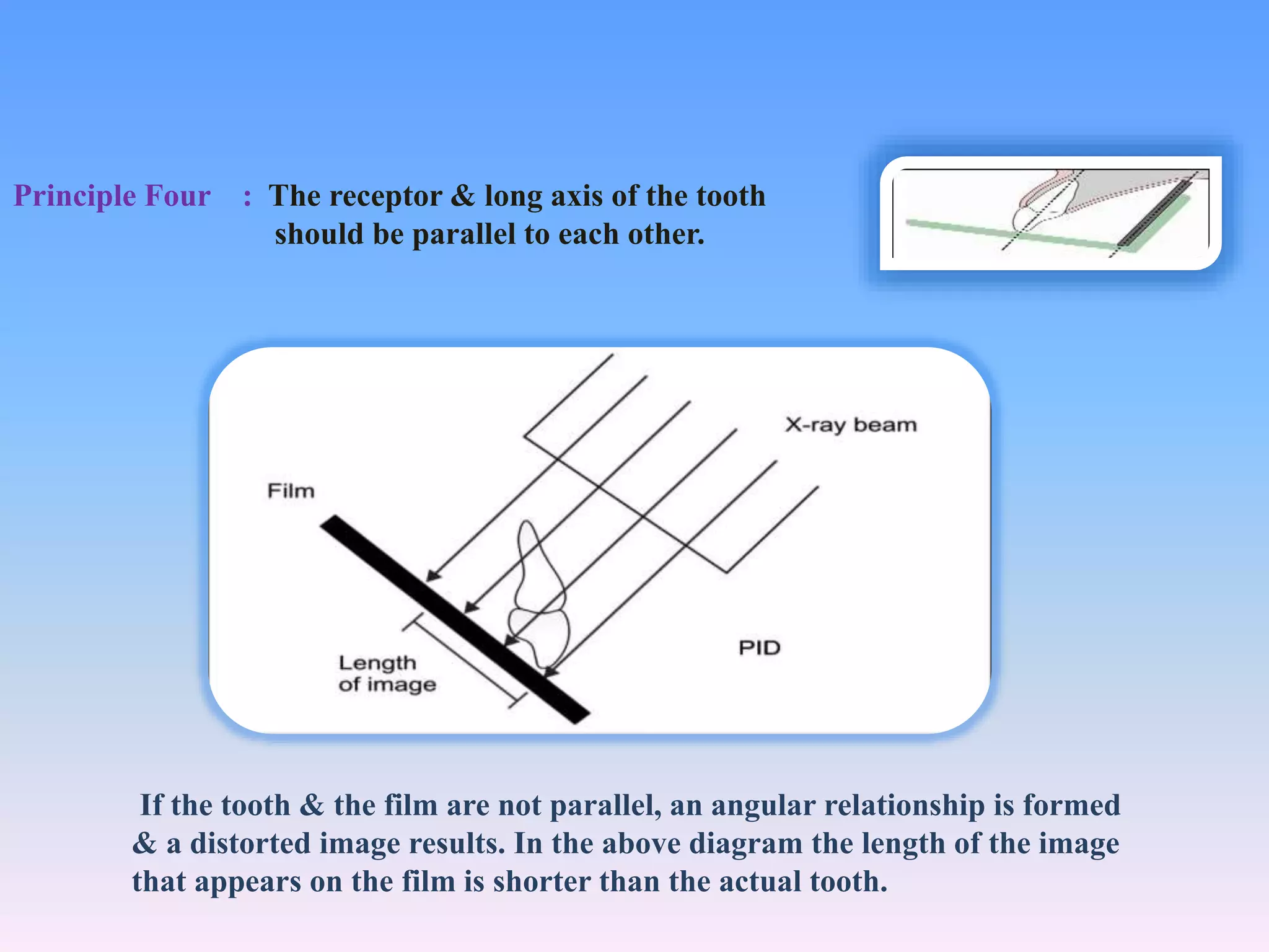 PRINCIPLES OF SHADOW CASTING | PPTX